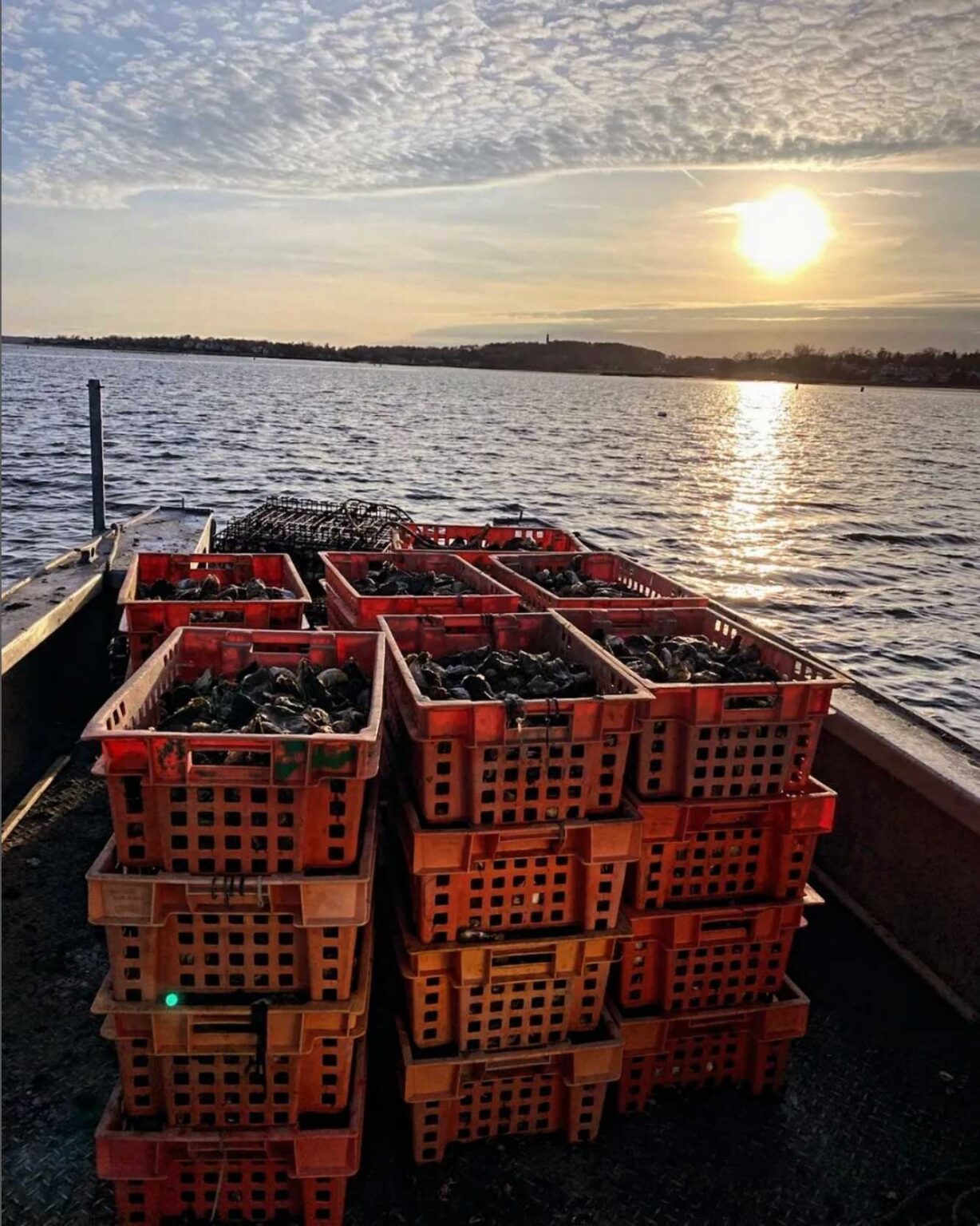 Aquaculture, Commercial, and Recreational Shellfish Activity in Duxbury ...